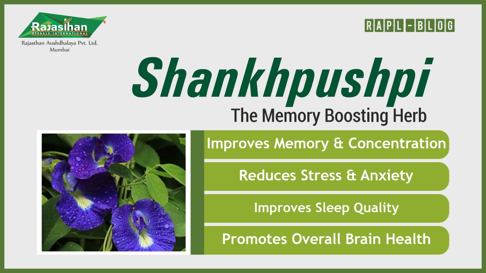 Shankhpushpi: The Memory Boosting Herb