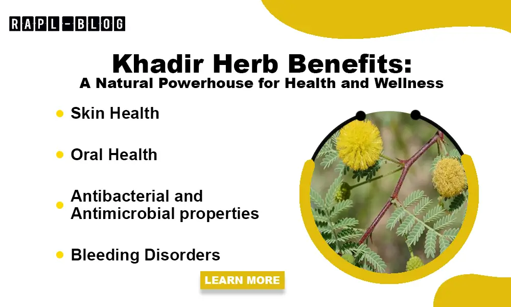 Khadir Herb Benefits: A Natural Powerhouse for Health & Wellness