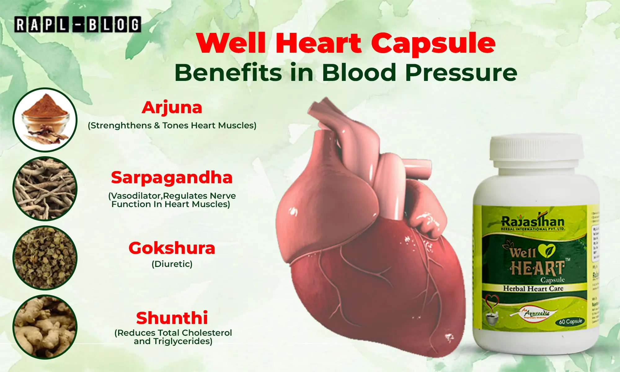 Well Heart Capsule Benefits in Blood Pressure | RAPL Blog